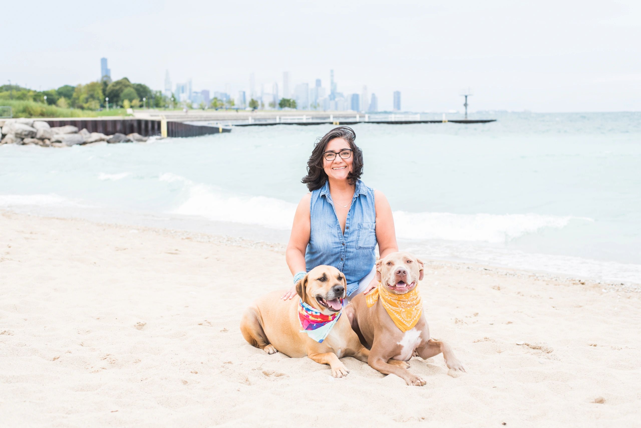 Pawsome Pet Boarding In Home Pet Boarding Chicago Illinois pawsome-pet-boarding-in-home-pet-boarding-chicago-illinois